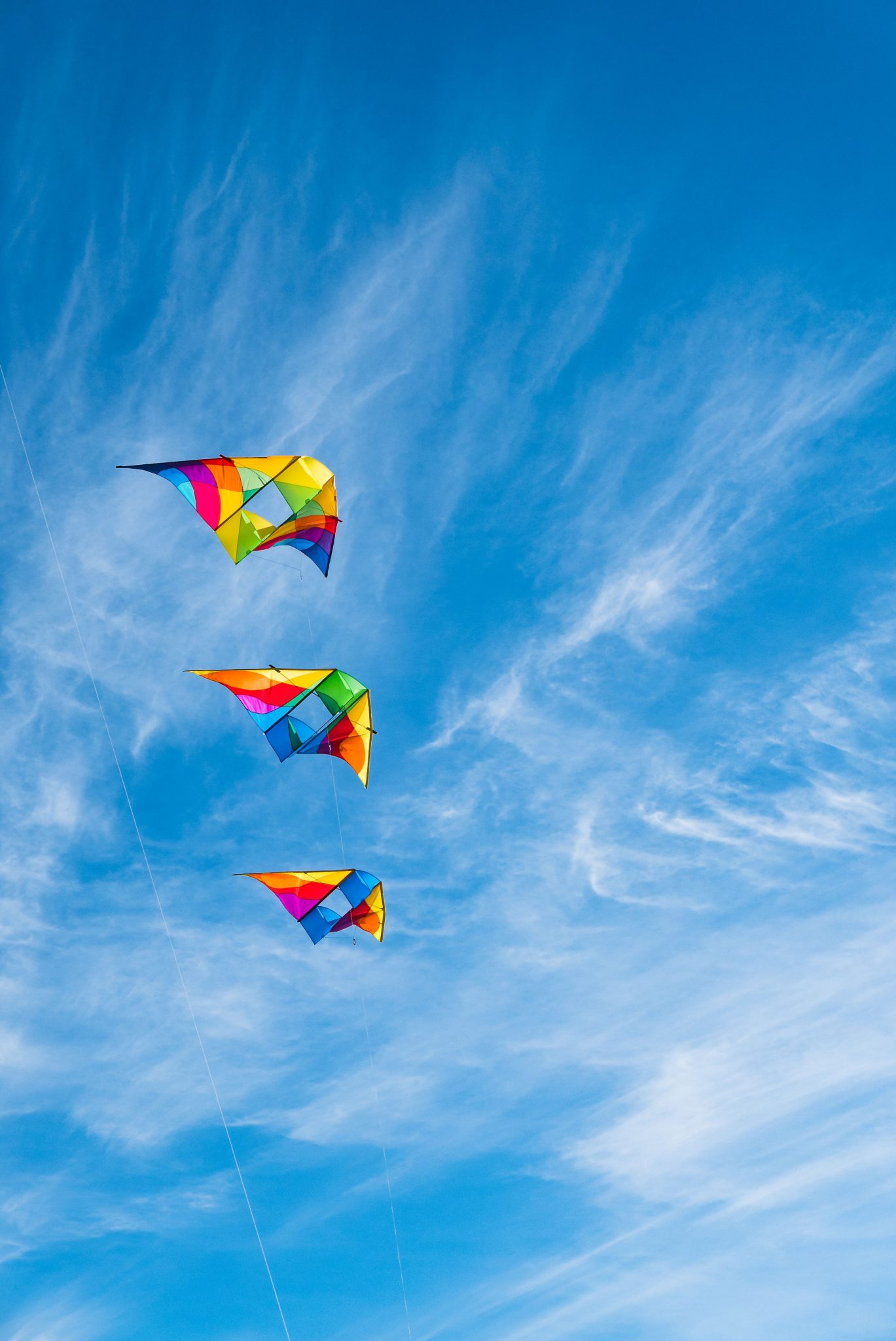Curious Nature: The living inspiration behind the kite | VailDaily.com