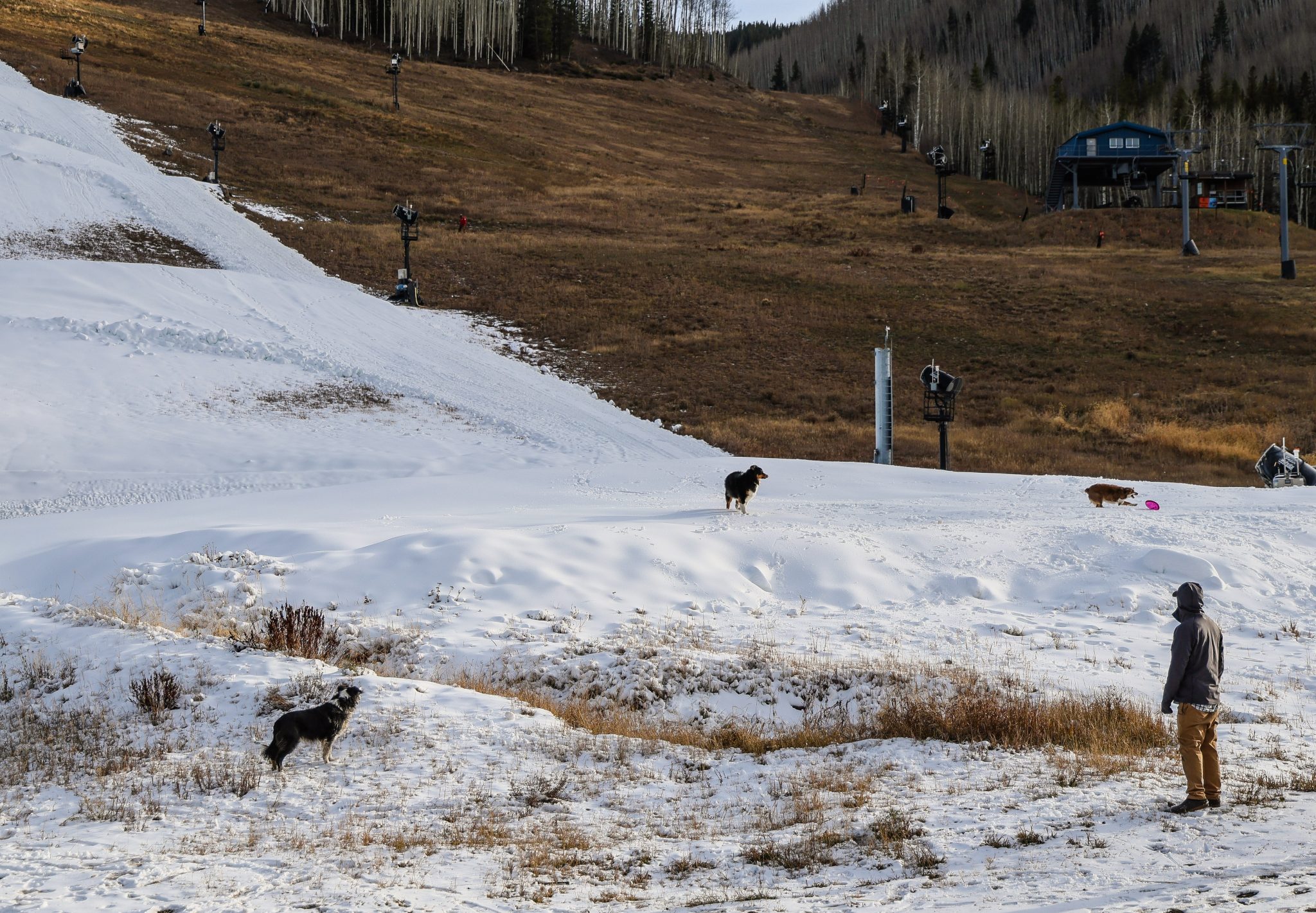 Climate change is already costing Colorado. A new report estimates how ...