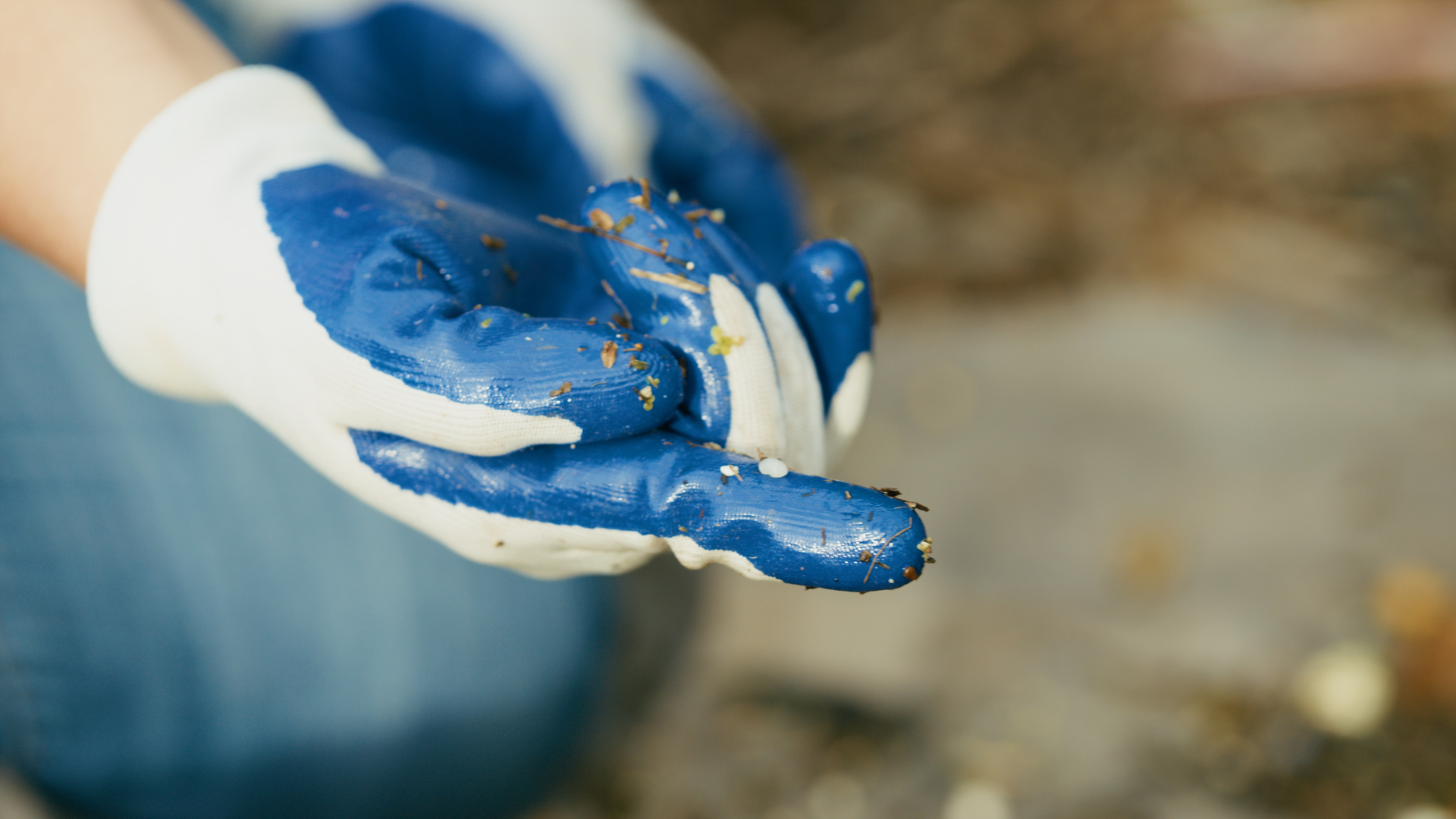 Sustainable Film Series explores plastic pollution | VailDaily.com