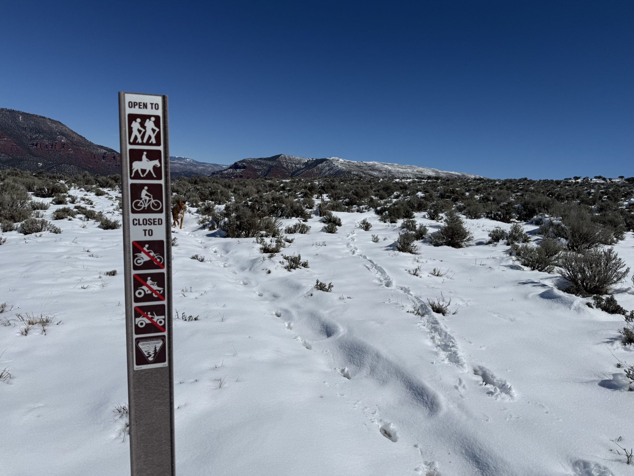 A BLM proposal to allow e-bikes on trails in Eagle, Pitkin and Garfield ...