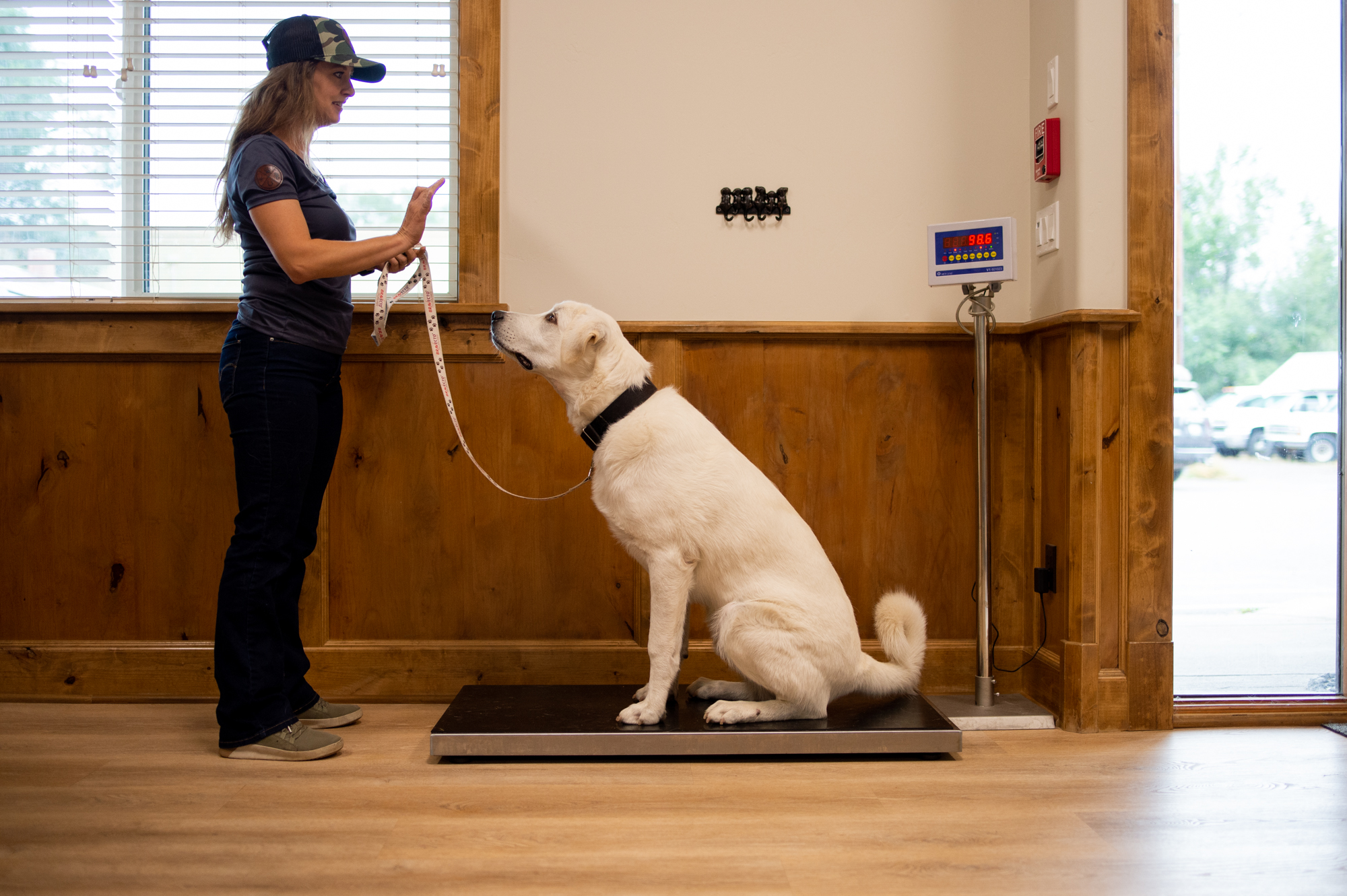 Animal Hour: Nutrition and joint health helps pets stay active and ...
