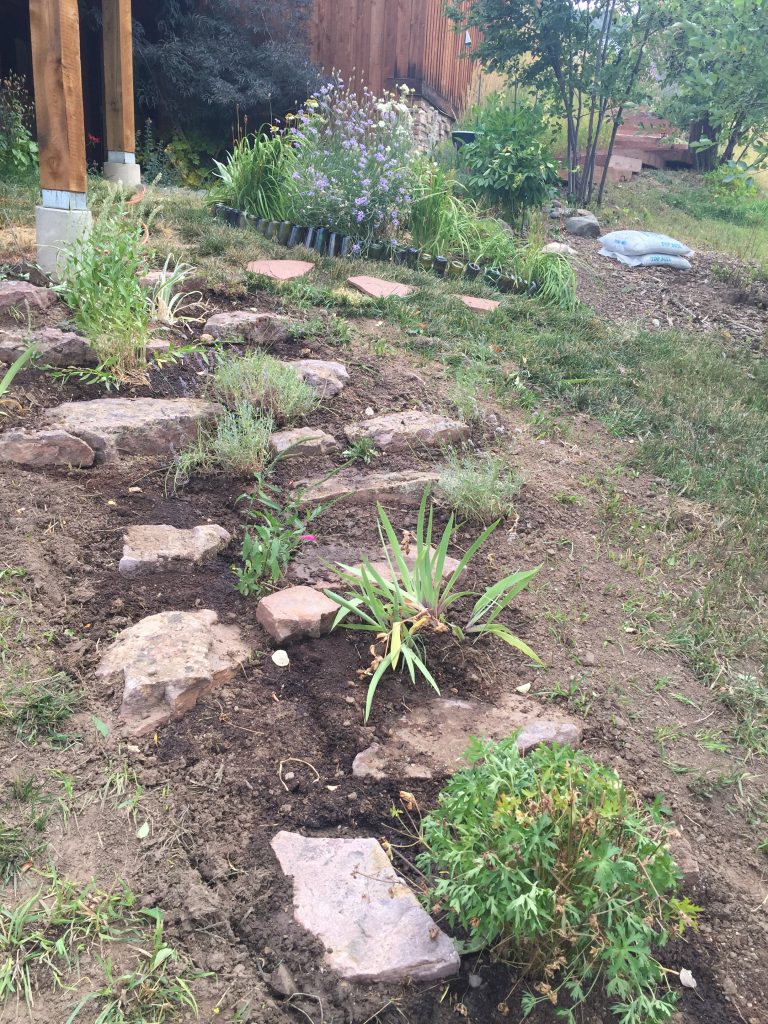 Colorado Master Gardeners: How to install a rock garden ...