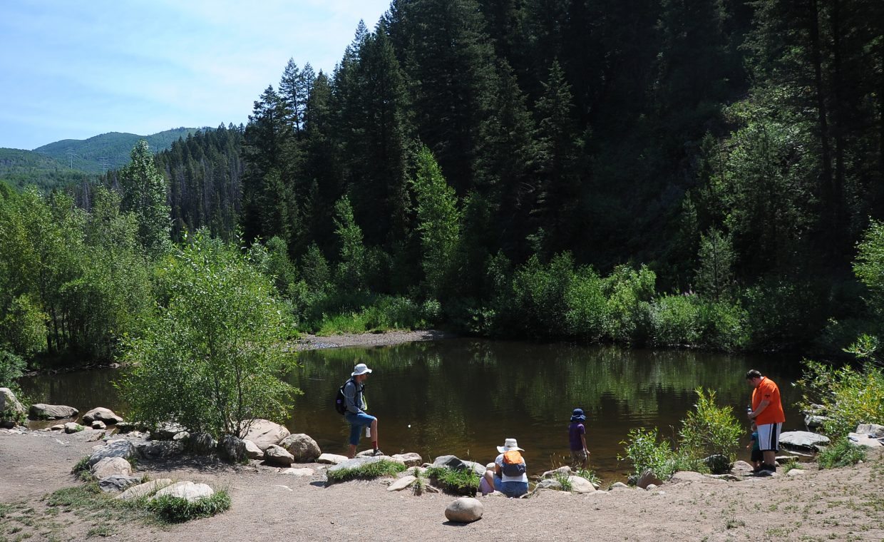 Spring Creek dam in need of costly repairs or replacement ...