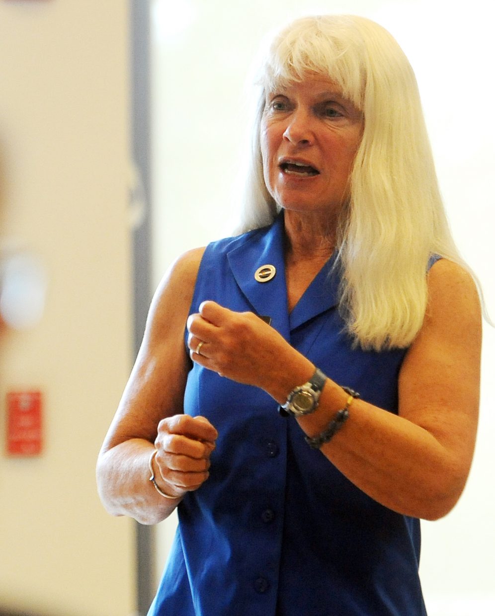 Mitsch Bush expands on 1st legislative session at meeting in Steamboat ...