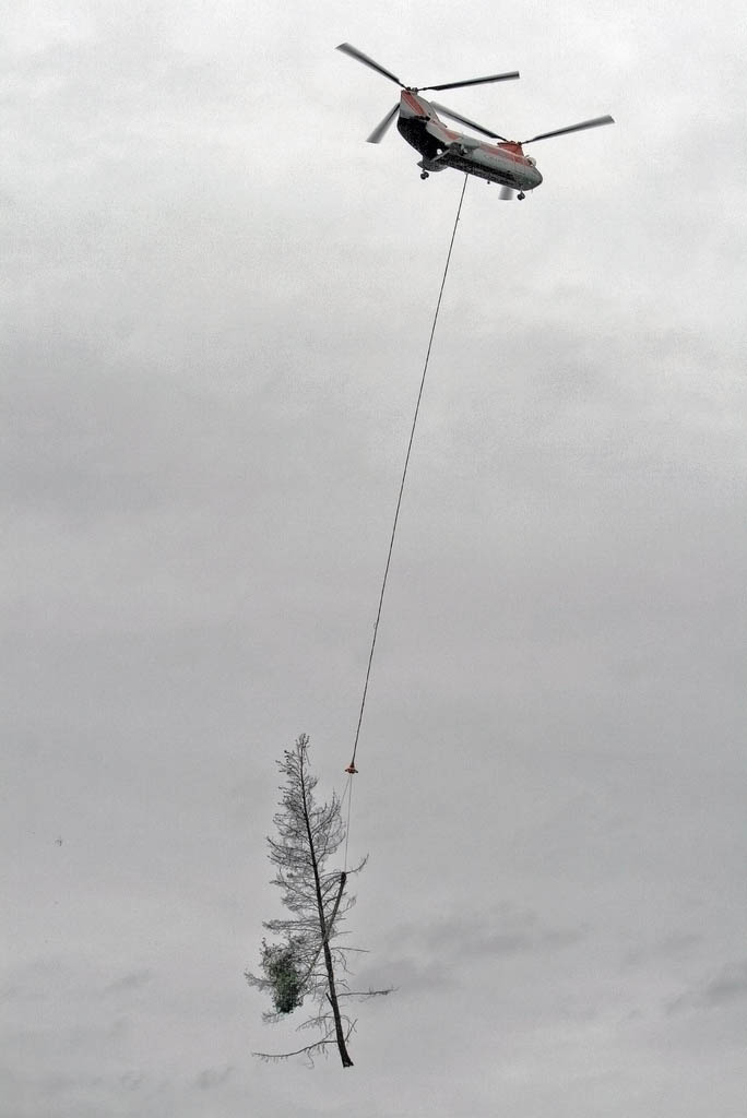 Helicopter logging to be used at Steamboat’s Howelsen Hill ...