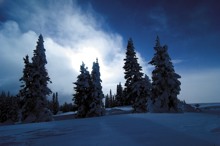Tree wells pose hidden danger | SteamboatToday.com