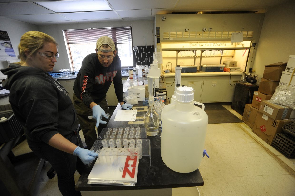 Steamboat lab incentive could be model | SteamboatToday.com