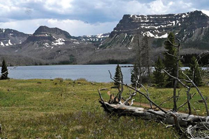 Trapper’s Lake reaps benefits of fire | SteamboatToday.com
