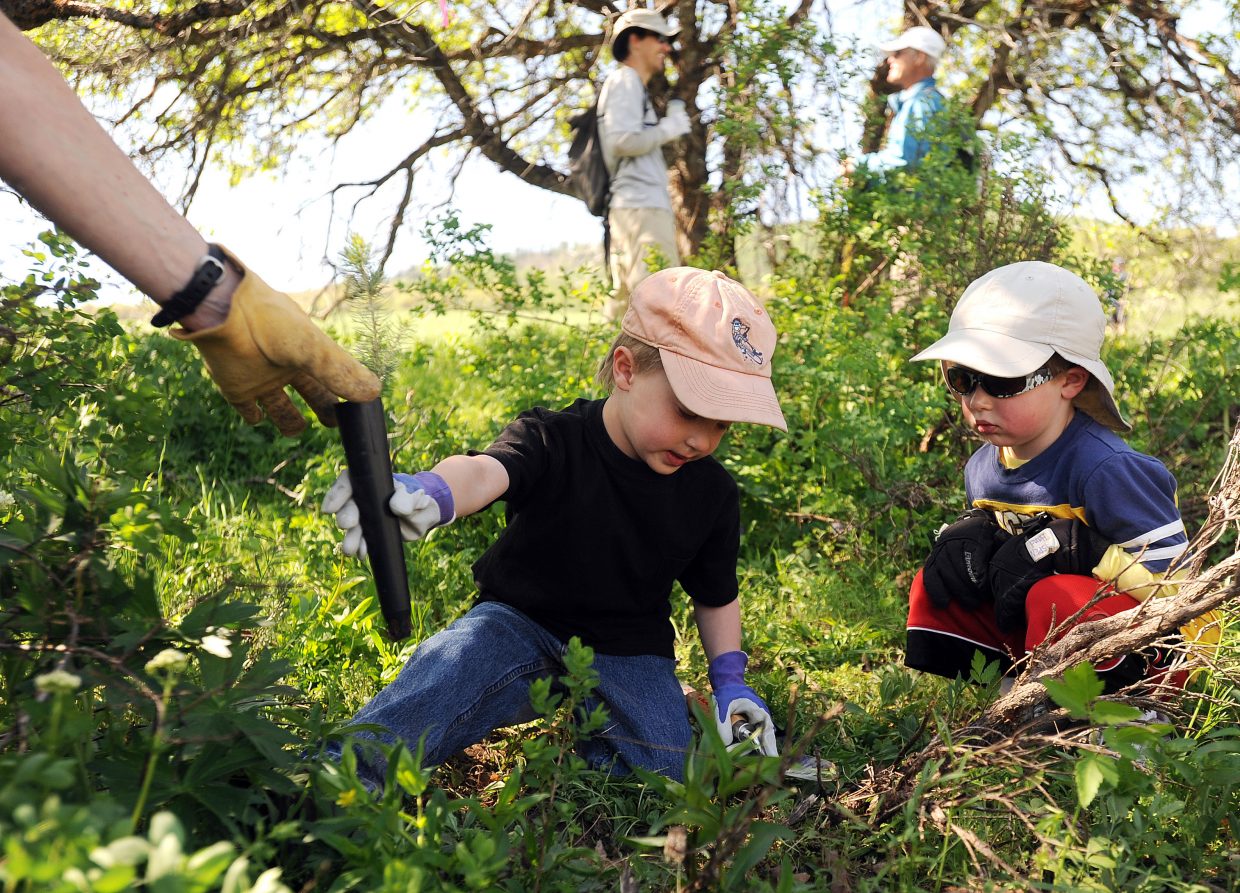 ReTree Steamboat volunteers plant 3,000 trees | SteamboatToday.com