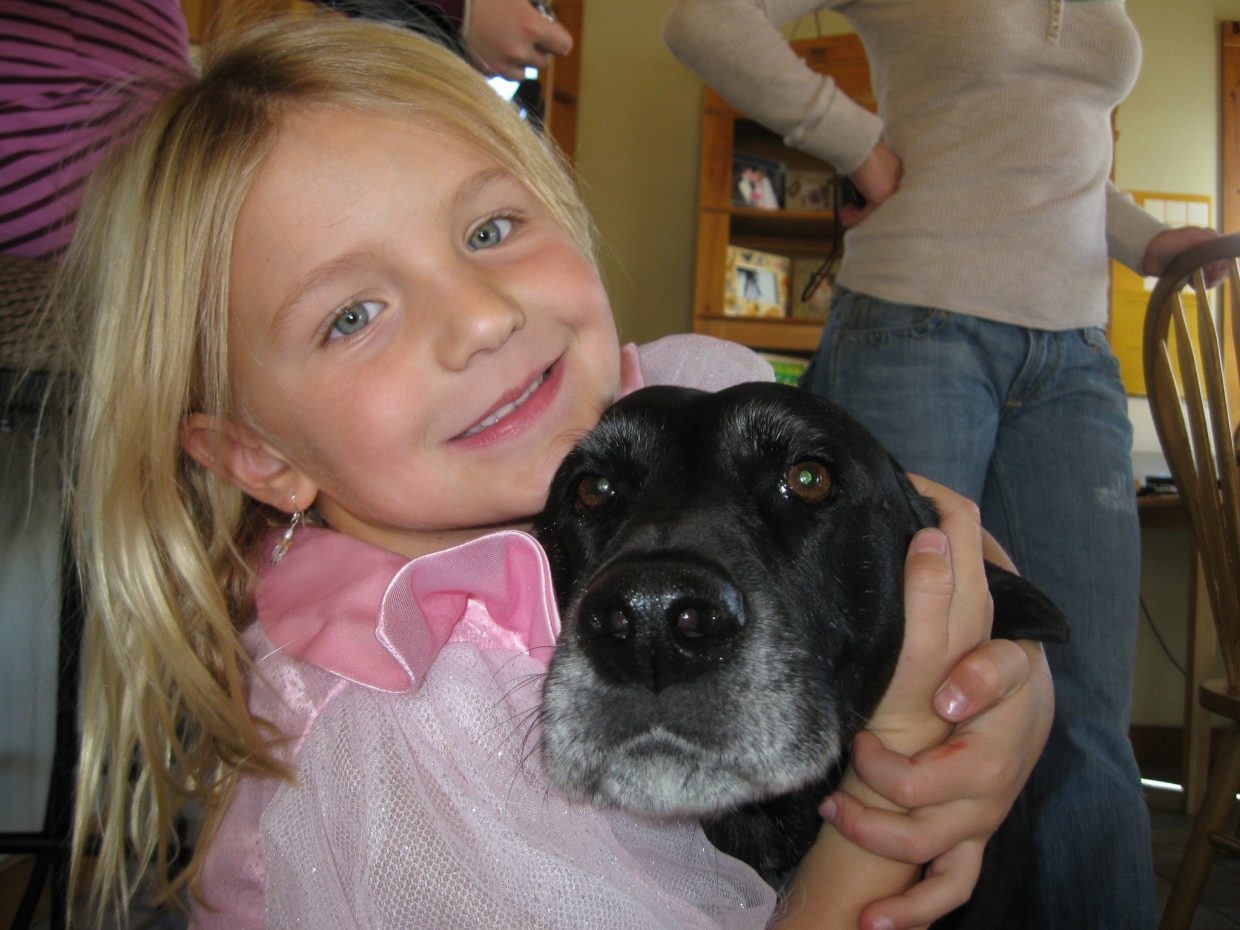 Detective assigned to Steamboat dog-shooting case | SteamboatToday.com