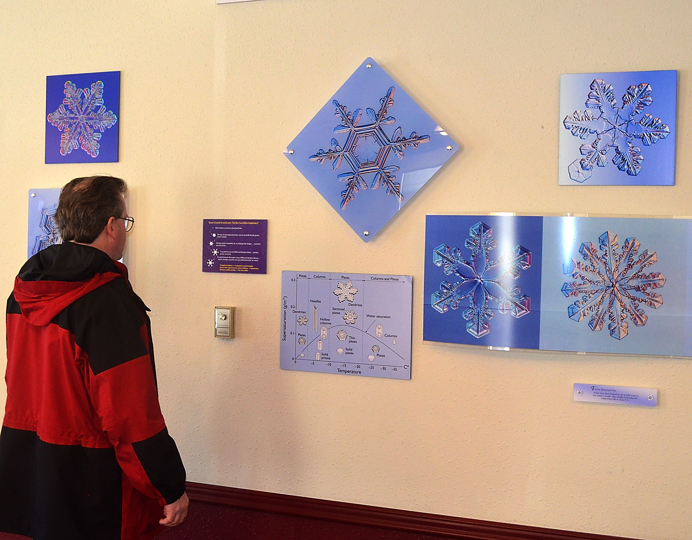 Tom Ross: Tread of Pioneers Museum in Steamboat displays the beauty of ...