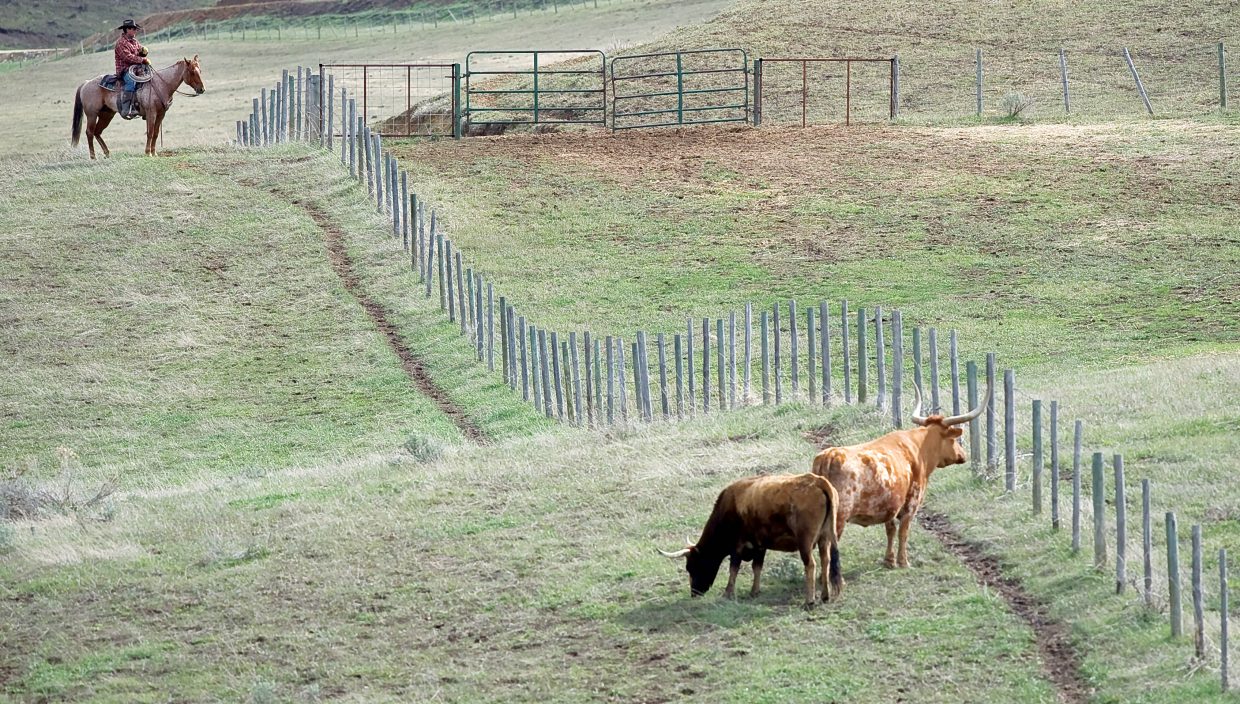Forest Service sees benefits in bringing virtual fencing to North Routt ...