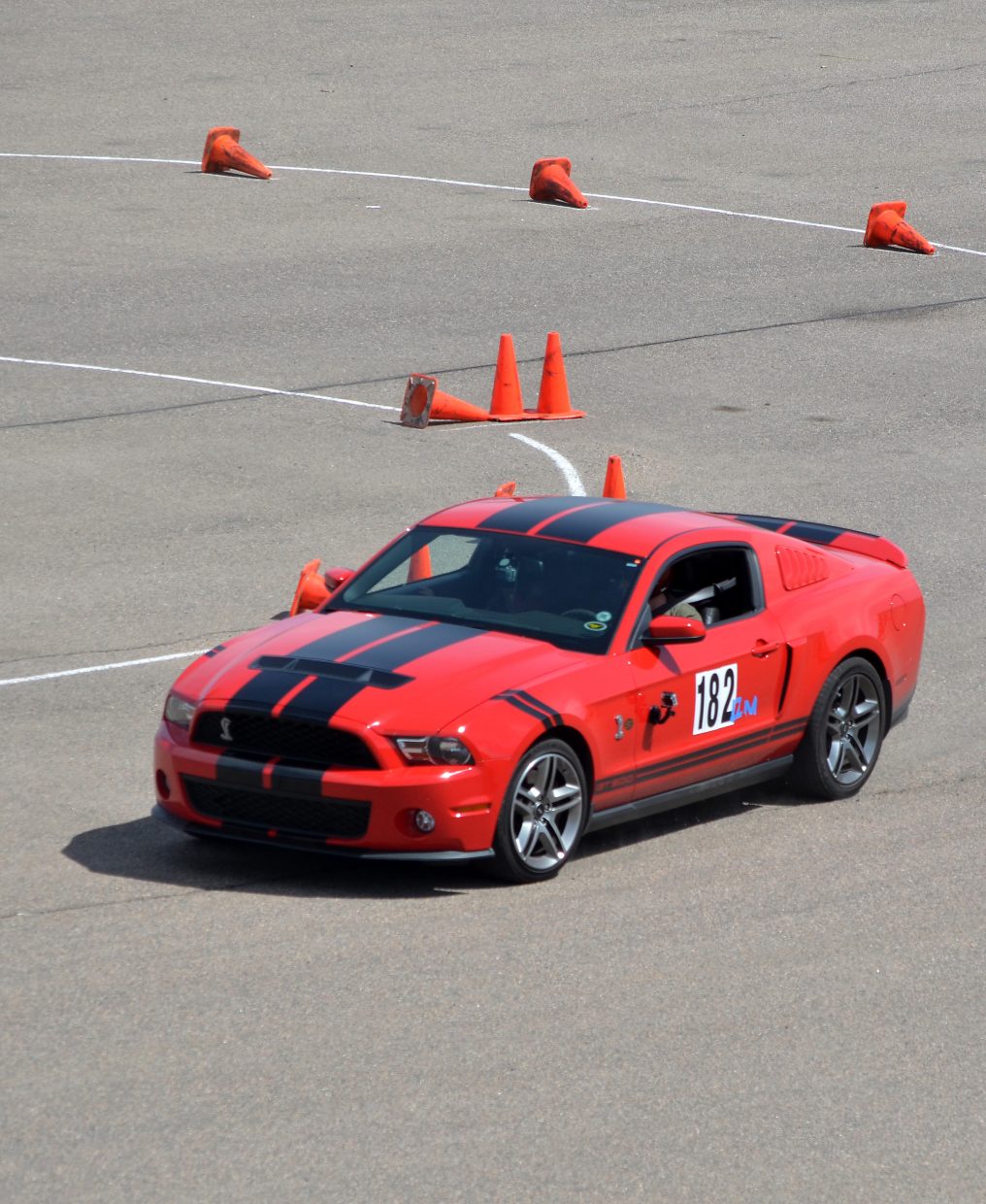 26th Rocky Mountain Mustang Roundup arrives on the 50th birthday of the ...