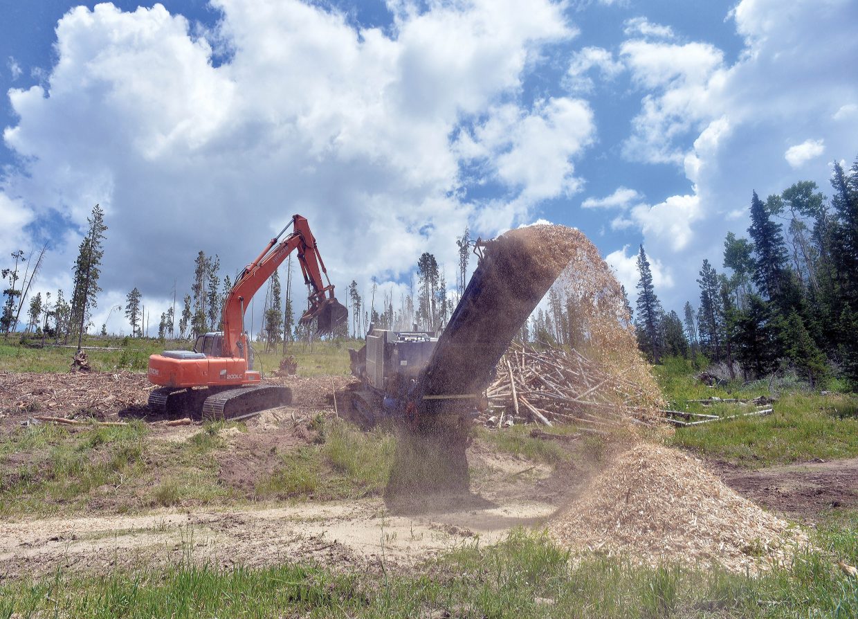 Breaking down old practices: Forest Service, Confluence Energy open new ...