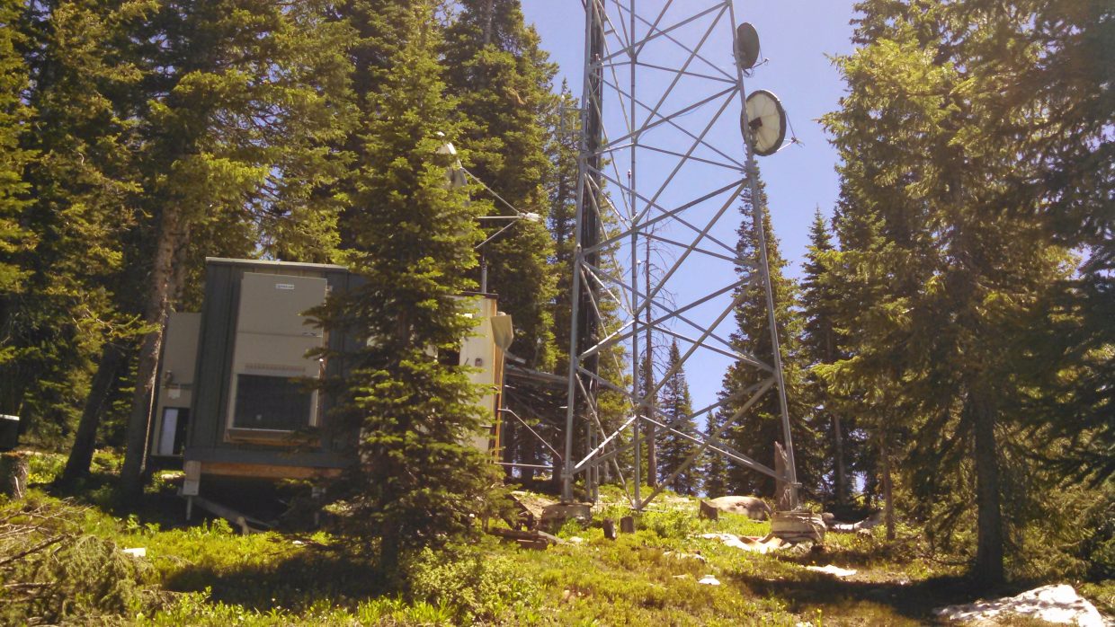 Strings Music Festival partners with WWFM and West Slope FM for new ...