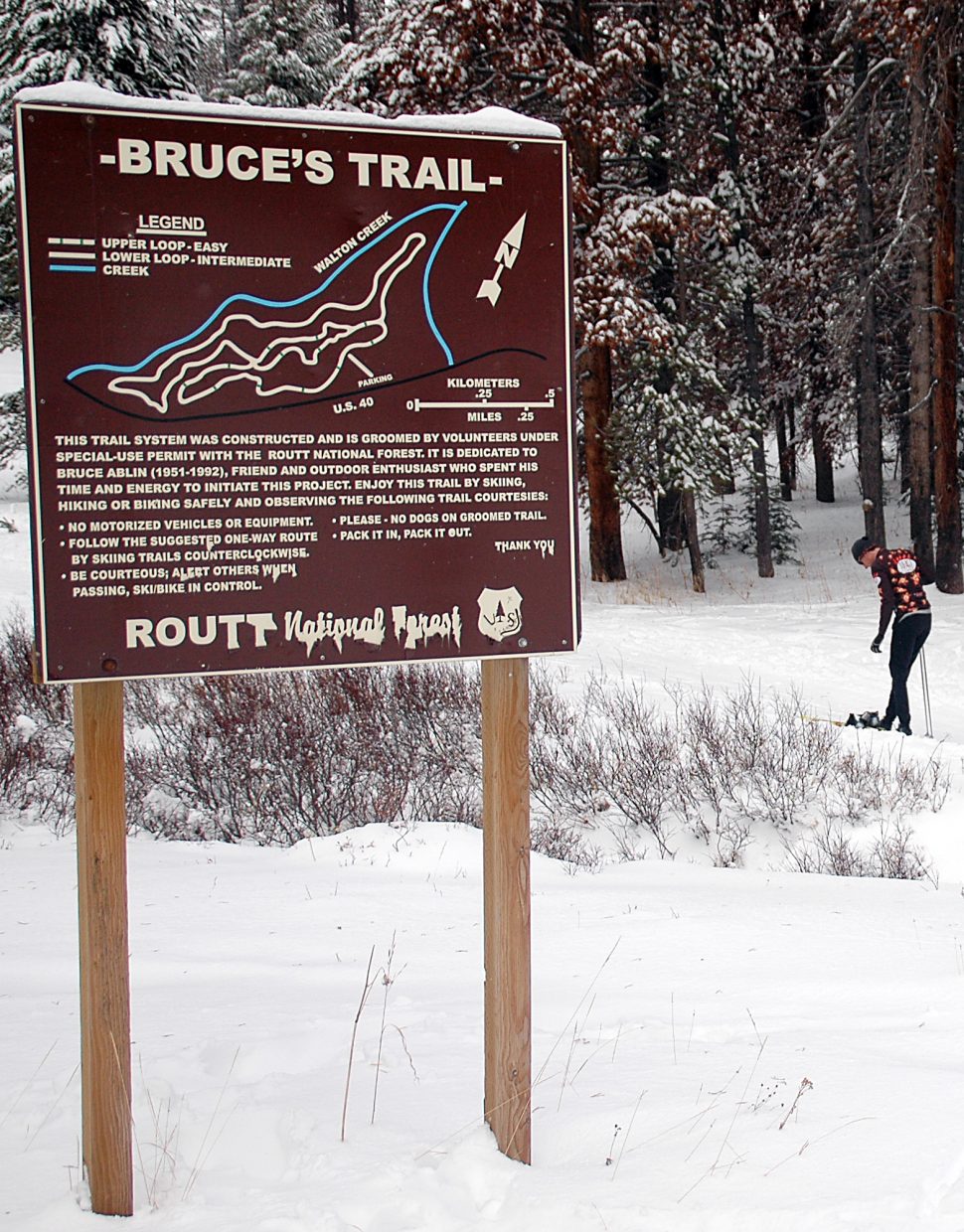 Lower loop of Bruce’s trail closed due to downed trees | SteamboatToday.com