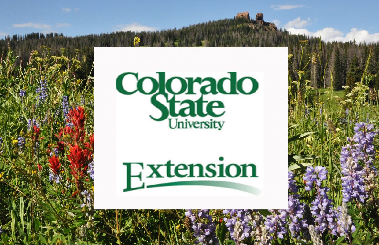 CSU Routt County Extension: Colorado cottage foods — upcoming training ...