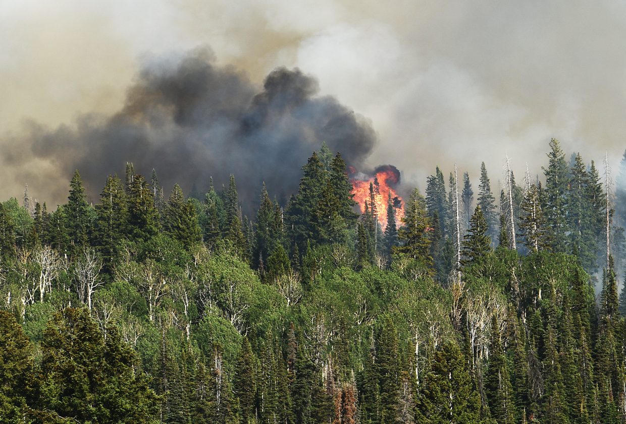 Machinery sparks North Routt forest fire | SteamboatToday.com
