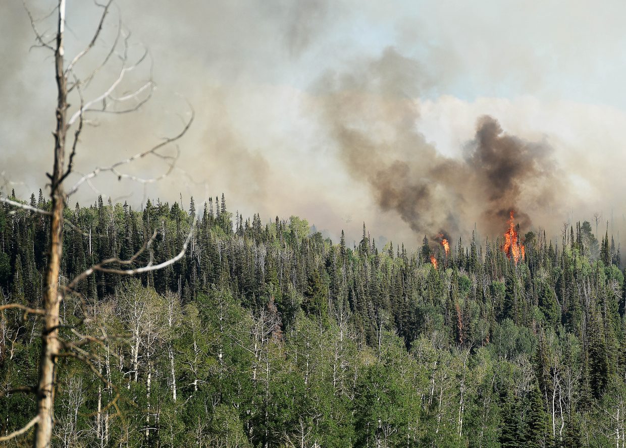 Machinery sparks North Routt forest fire | SteamboatToday.com