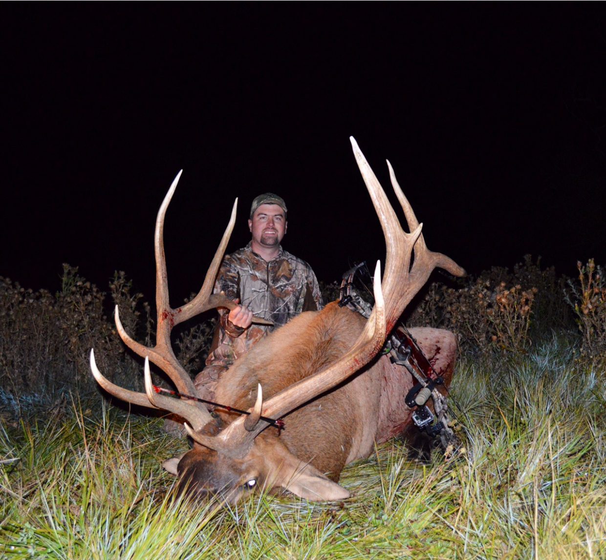 Colorado Hunter: 5 tips for elk archery success | SteamboatToday.com