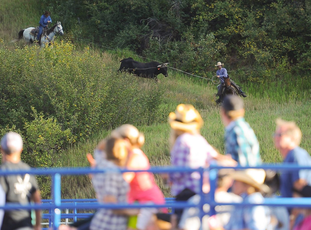2016 Rocky Mountain Bull Bash bull riding | SteamboatToday.com