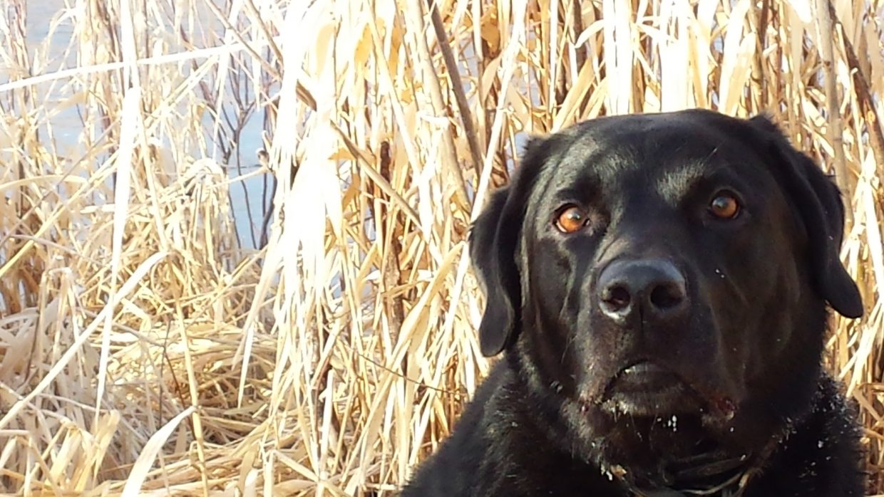 Routt County in photos: Nov. 29, 2017 | SteamboatToday.com