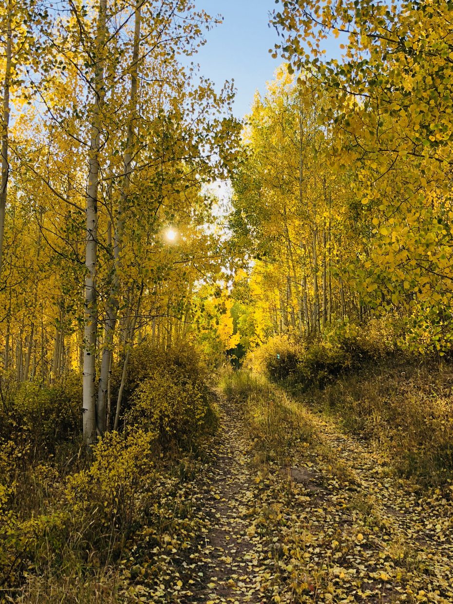Routt County in photos: Sept. 14, 2018 | SteamboatToday.com