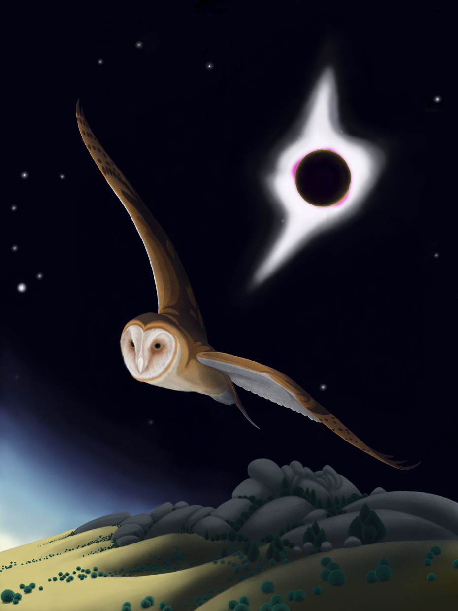 Steamboat artist returns to local art scene with retrospective exhibit ...