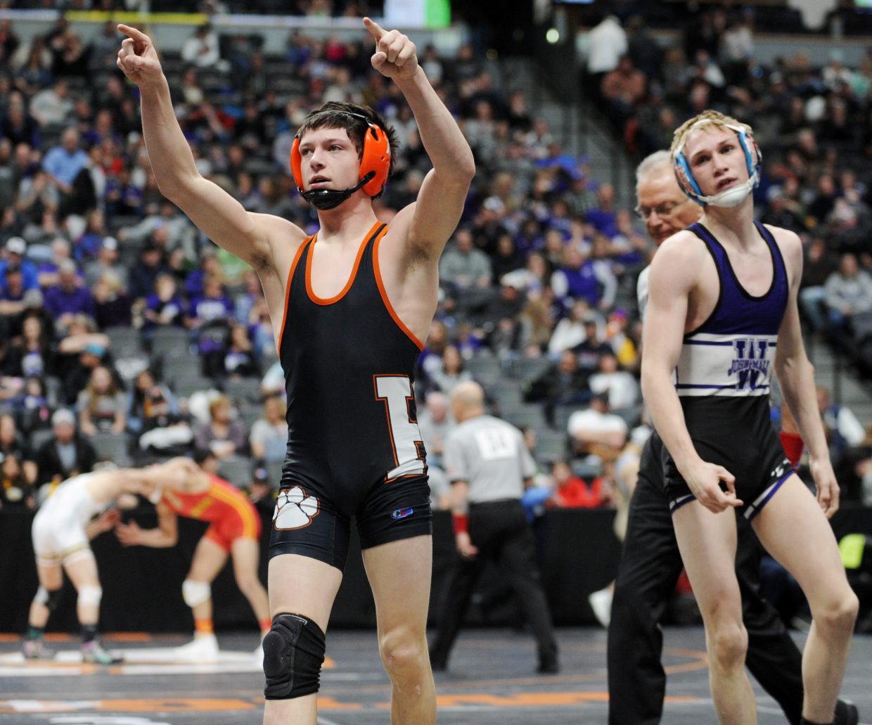 Hayden freshman takes third-place state wrestling title with sprinkles ...