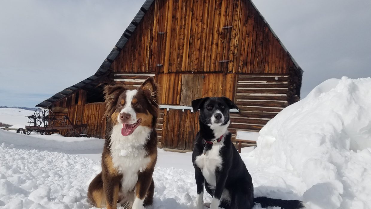 Routt County in photos: March 1, 2019 | SteamboatToday.com