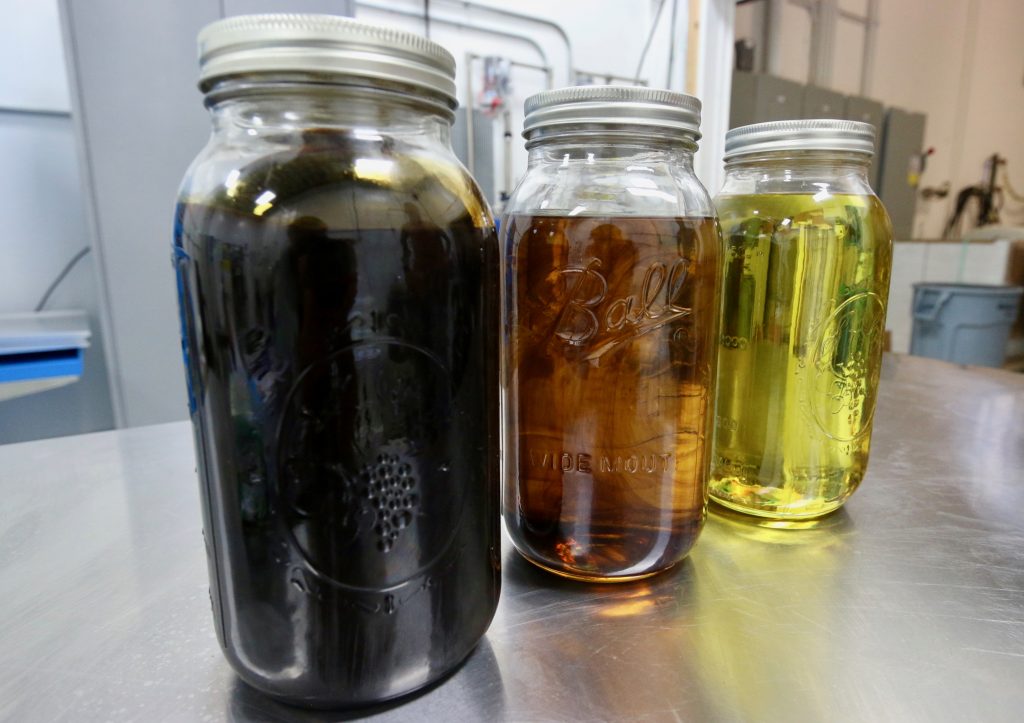 The 'hemp gold rush': A look at the Routt County businesses leading the ...