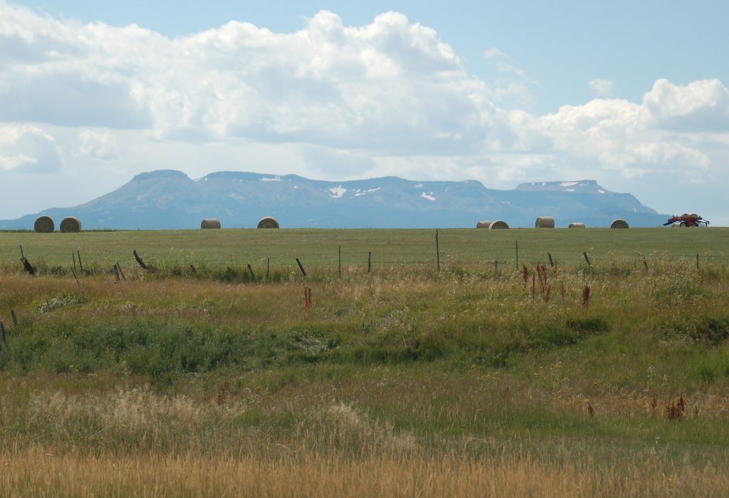 Ranching through history: Routt County ranches take center stage ...