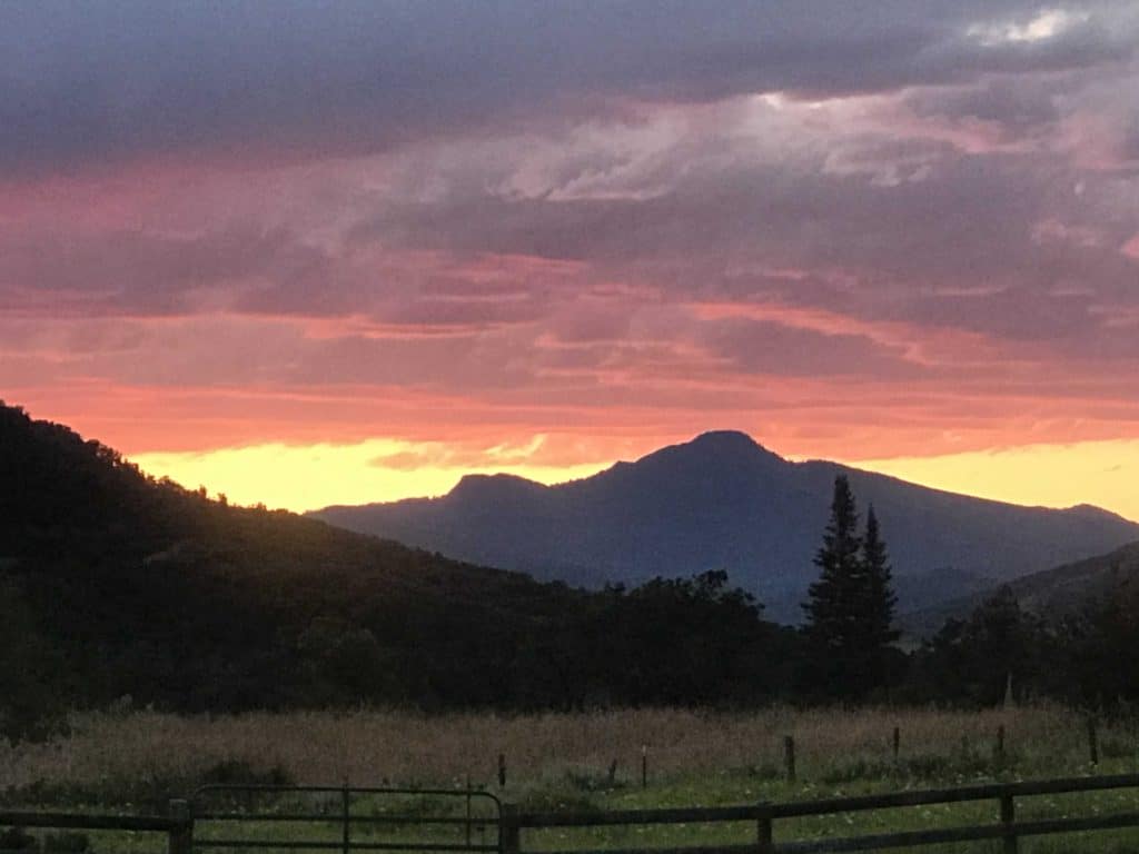 Stranahan was ‘home’ on the range as reflected by announcement of more ...