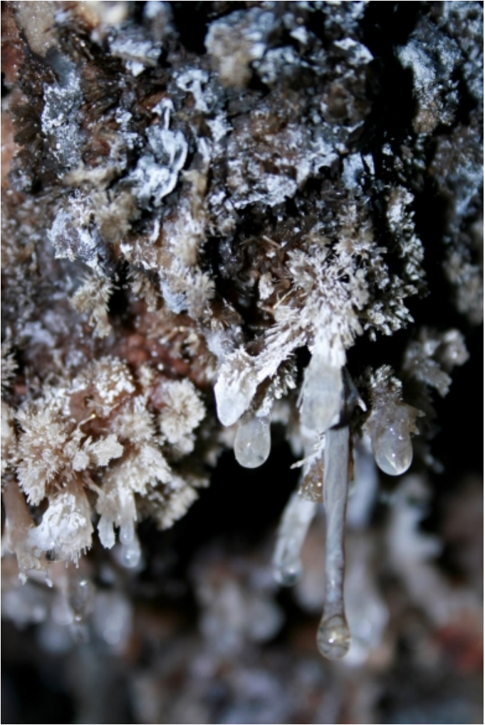 Steamboat’s toxic cave is home to weird worms, crystal-forming bacteria ...