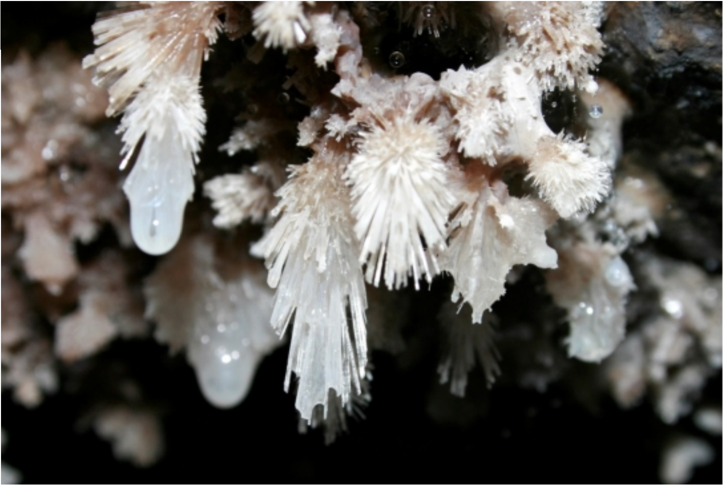 Steamboat’s toxic cave is home to weird worms, crystal-forming bacteria ...
