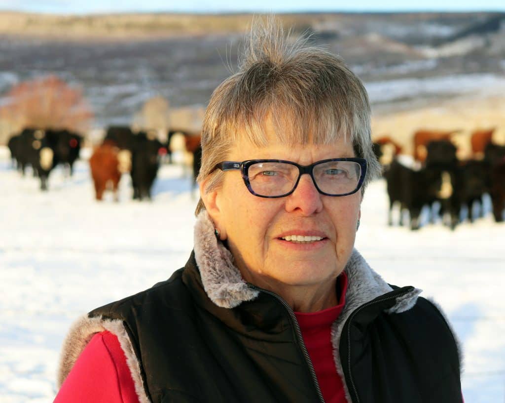 South Routt author publishes first volume on historical accounts of ...