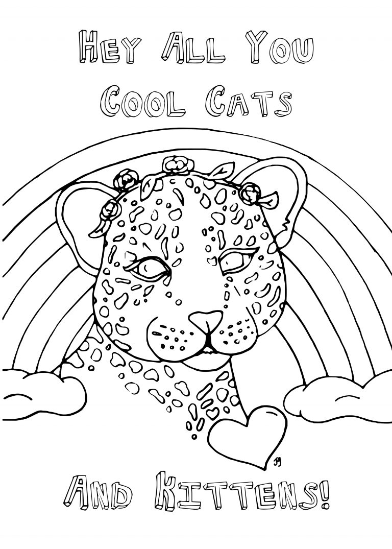Cool Cat | SteamboatToday.com