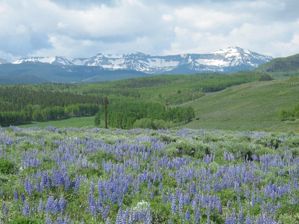 County approves $400K to preserve South Routt ranch | SteamboatToday.com