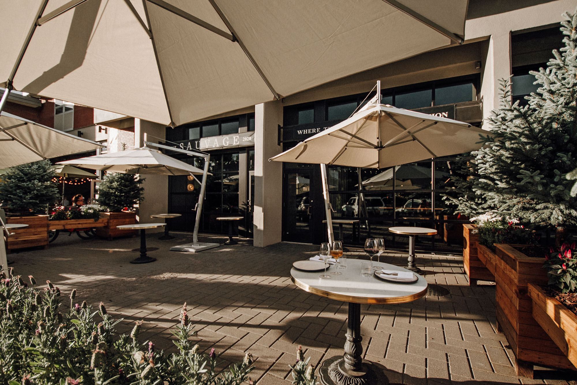 Sauvage brings taste of France to Yampa Street | SteamboatToday.com