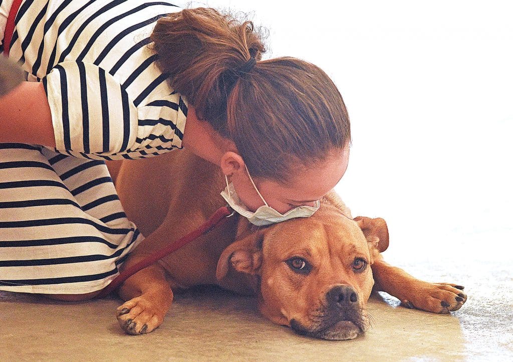 4-H dog show at Routt County Fair gives competitors the opportunity to ...