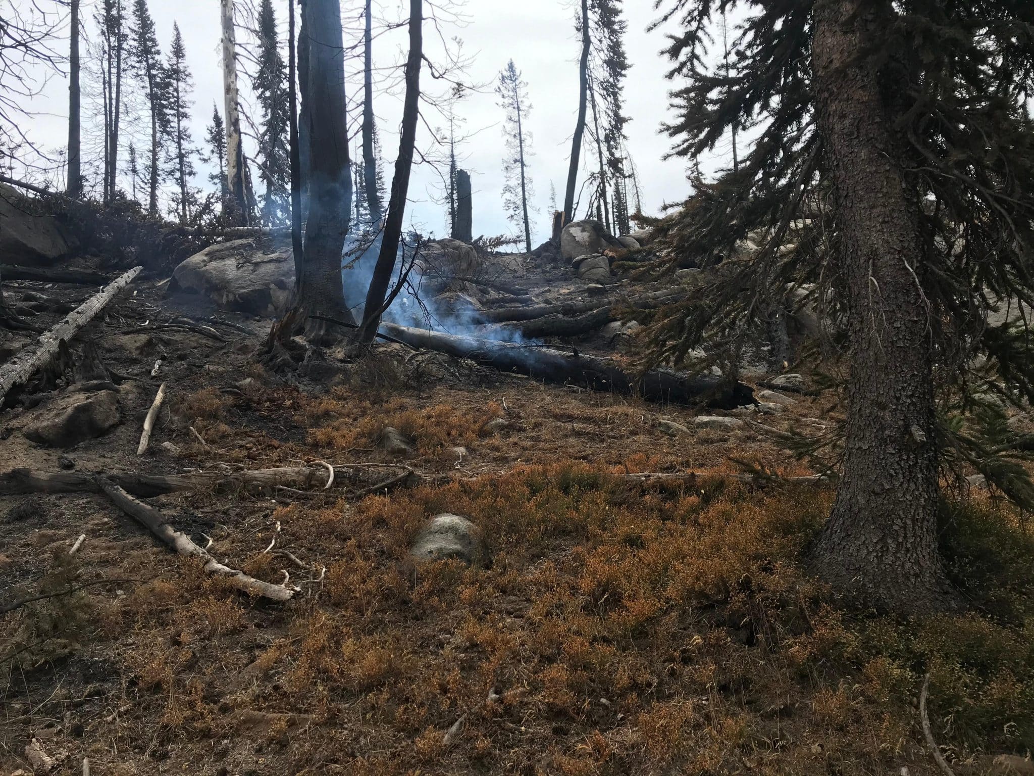 Smoke from Middle Fork Fire blows into Steamboat as fire reaches nearly ...