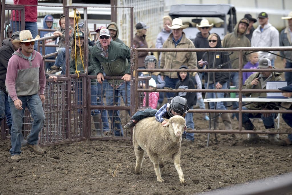 Routt County seeks grant to update fairgrounds rodeo arena ...