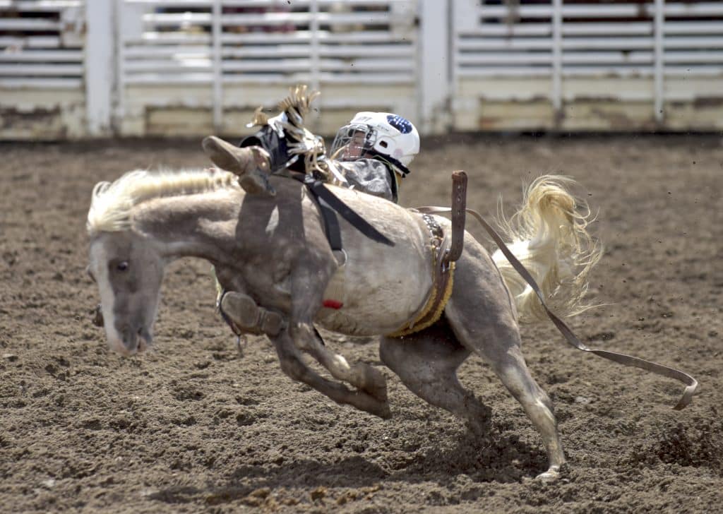 Muddy mutton bustin’, mini bronc riding and hog catching close out fair ...