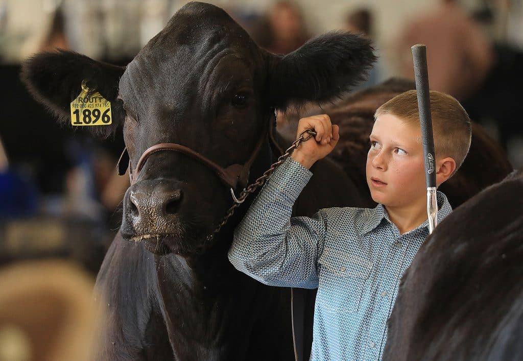 Steeped in tradition, Routt County Fair opens Friday with plenty of ...