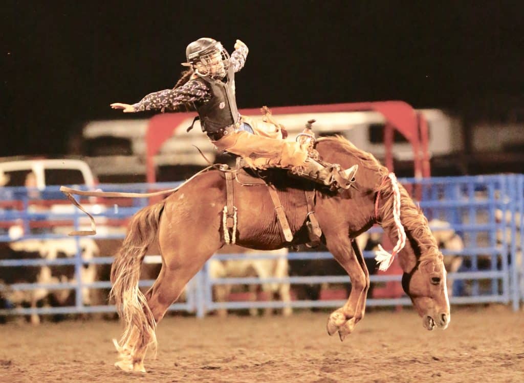 Share: Reader photos | SteamboatToday.com