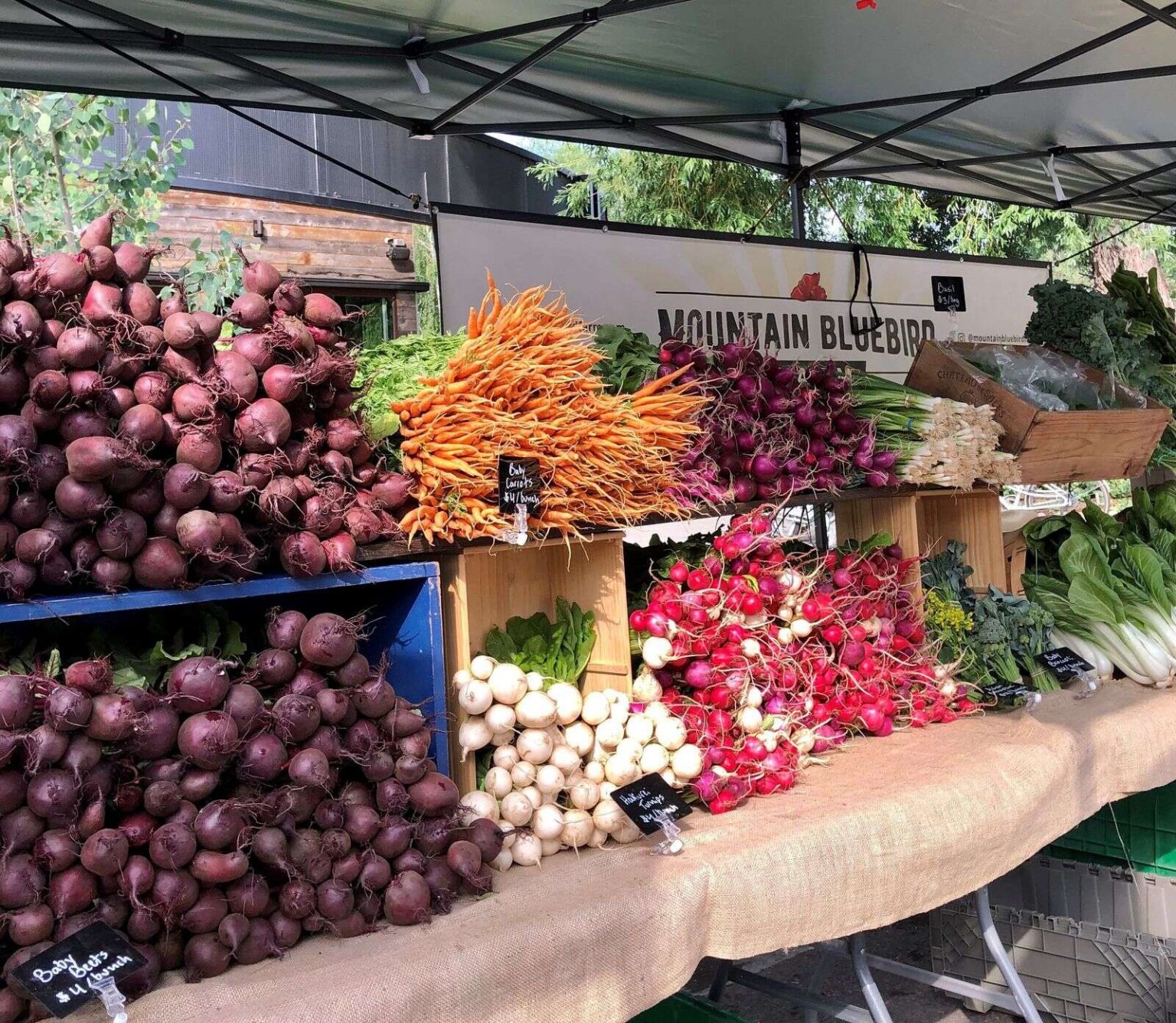 Local farmers markets celebrate communities of Oak Creek, Hayden ...