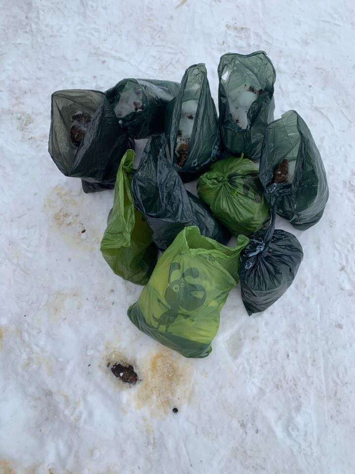 As dog poop on city trails continues to build up, volunteers and ...