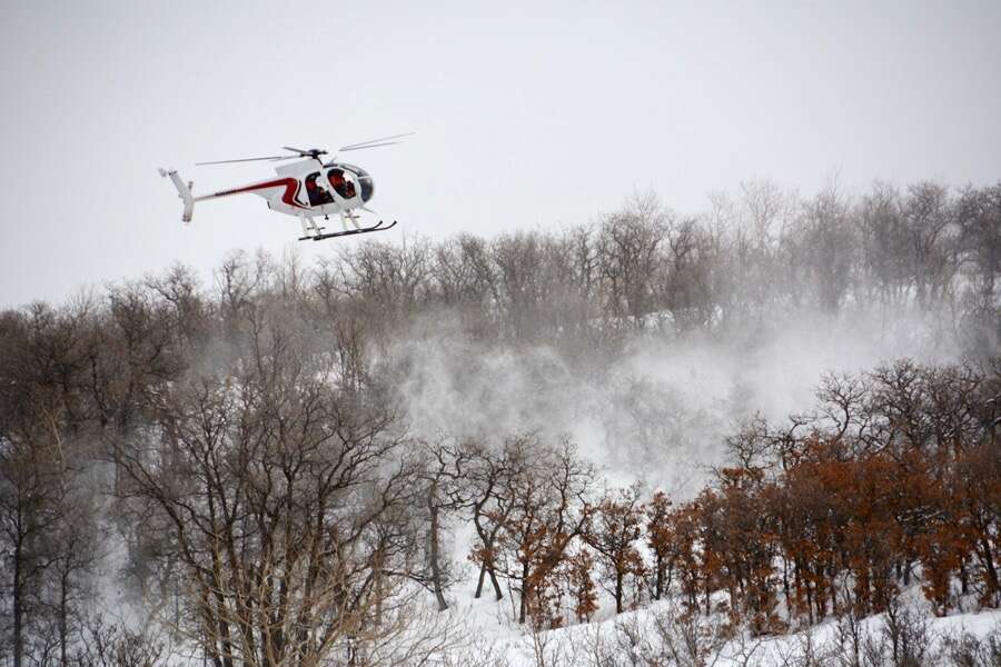 CPW collaring, netting elk to study recreation and conservation in ...