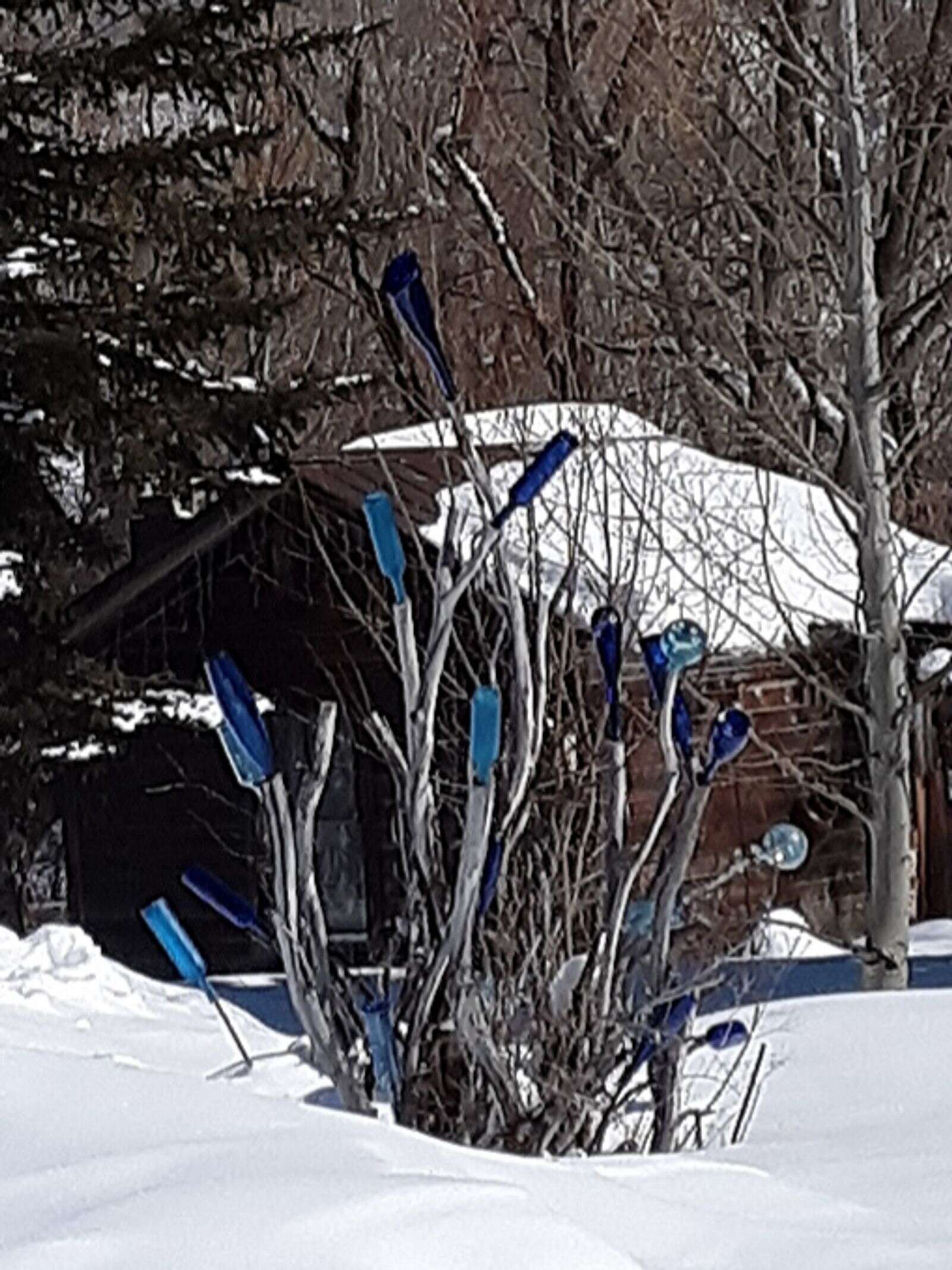 Share: Reader photos | SteamboatToday.com