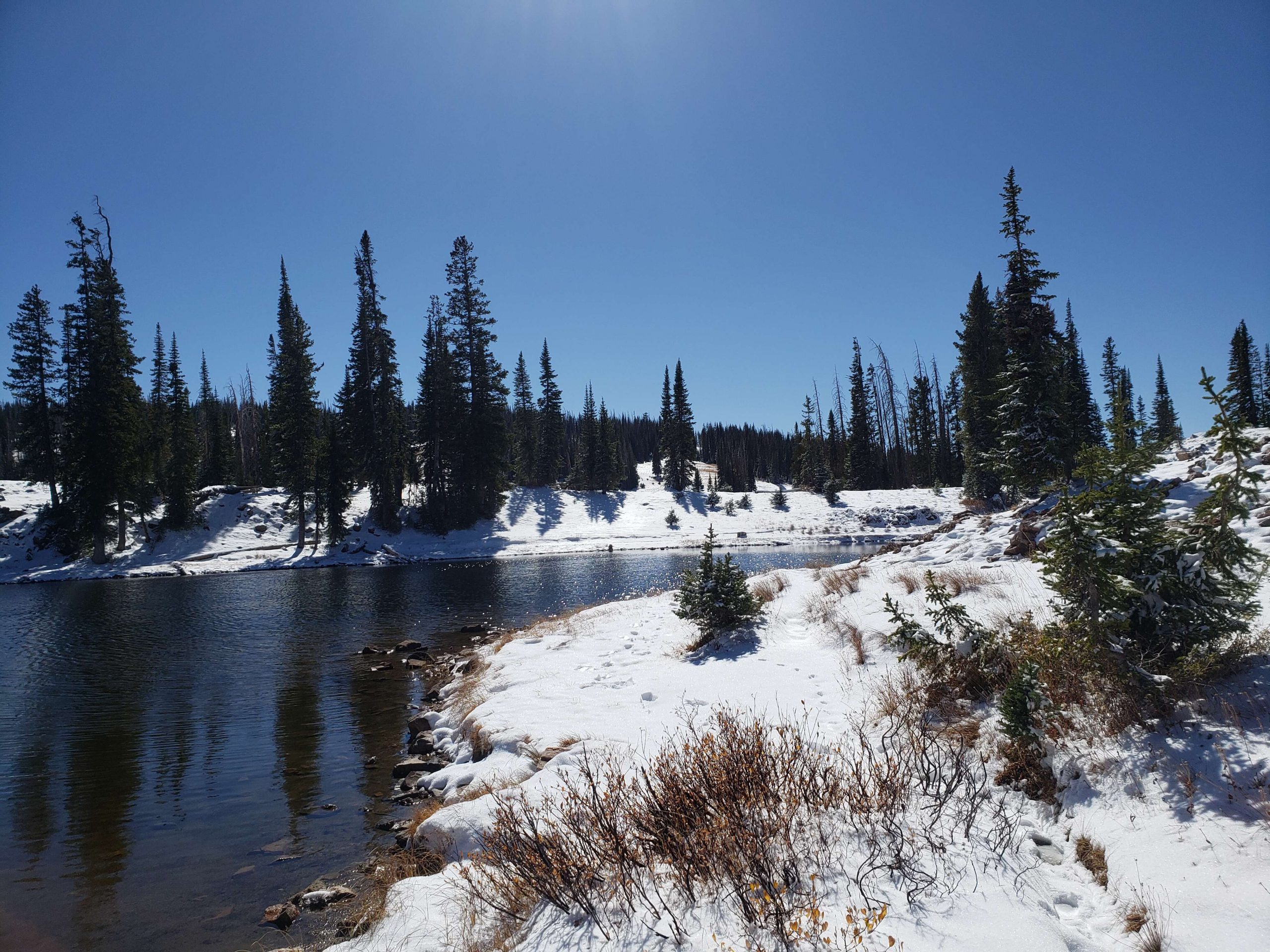 Road improvements could change dynamic of camping on Buff Pass ...